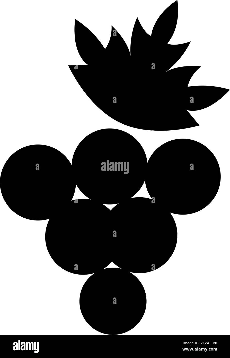 Bunch of grapes on the vine Stock Vector Images - Alamy