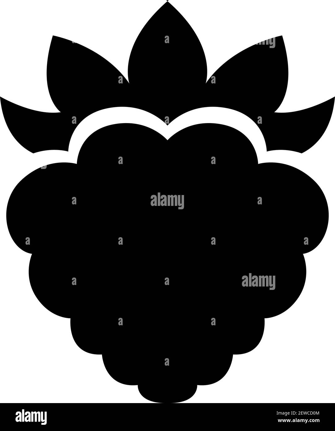 Black raspberries, illustration, vector on white background Stock ...