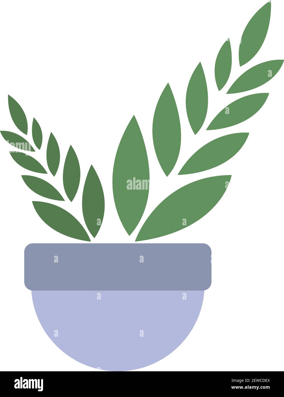 Pot plant office home hi-res stock photography and images - Alamy