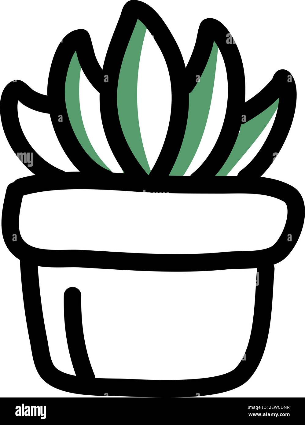 Monstera house plant in Cut Out Stock Images & Pictures - Alamy