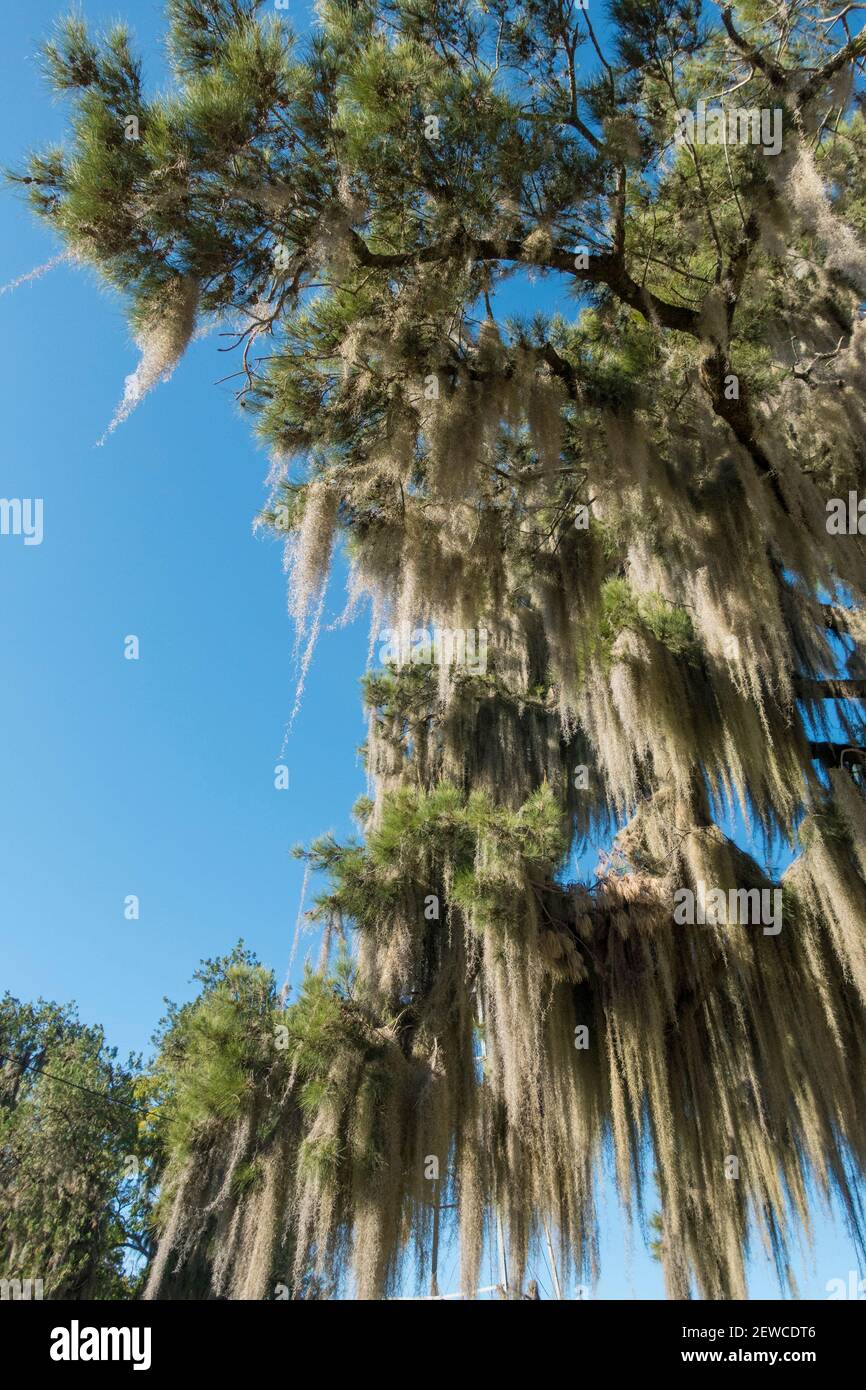 Old buenos aires hi-res stock photography and images - Alamy