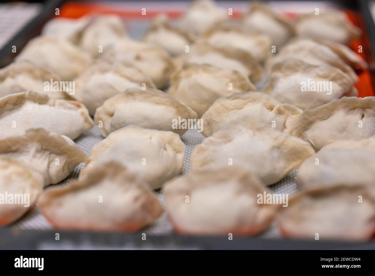 A selective focus shot of raw Chinese dumplings set on a tray, ready to ...