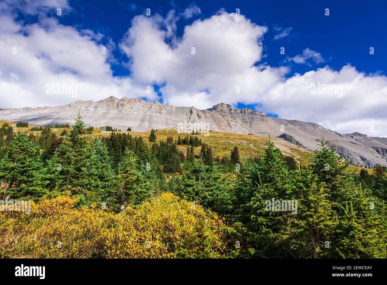 Nigel Peak from Wilcox Ridge, Columbia Icefields, Jasper National Park ...