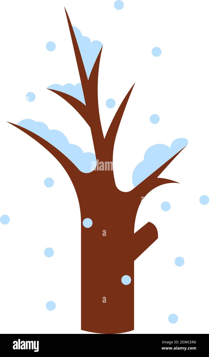 Vector illustration coniferous forest Cut Out Stock Images & Pictures ...
