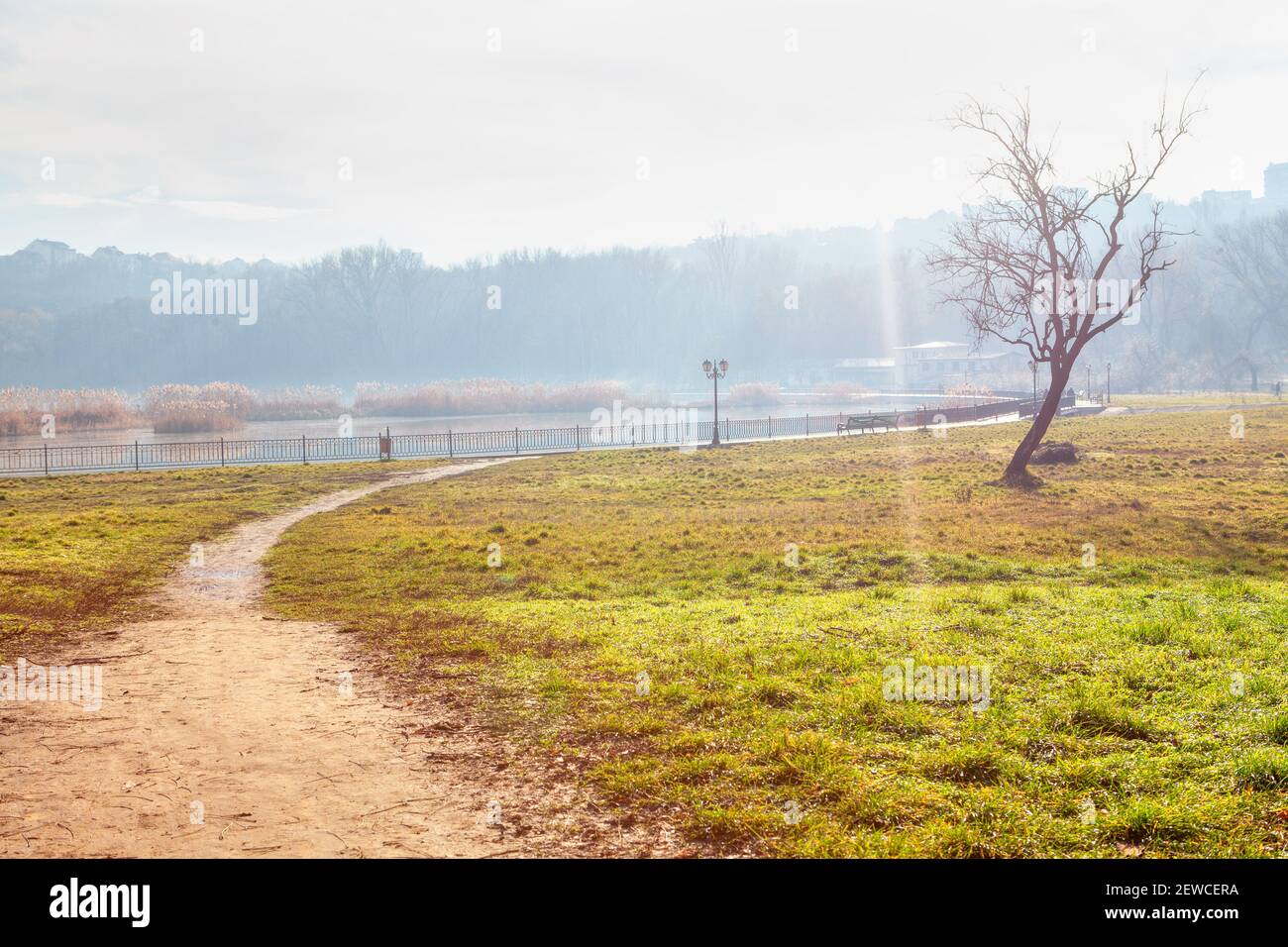 Meadow with single trees and fog clouds hi-res stock photography and ...