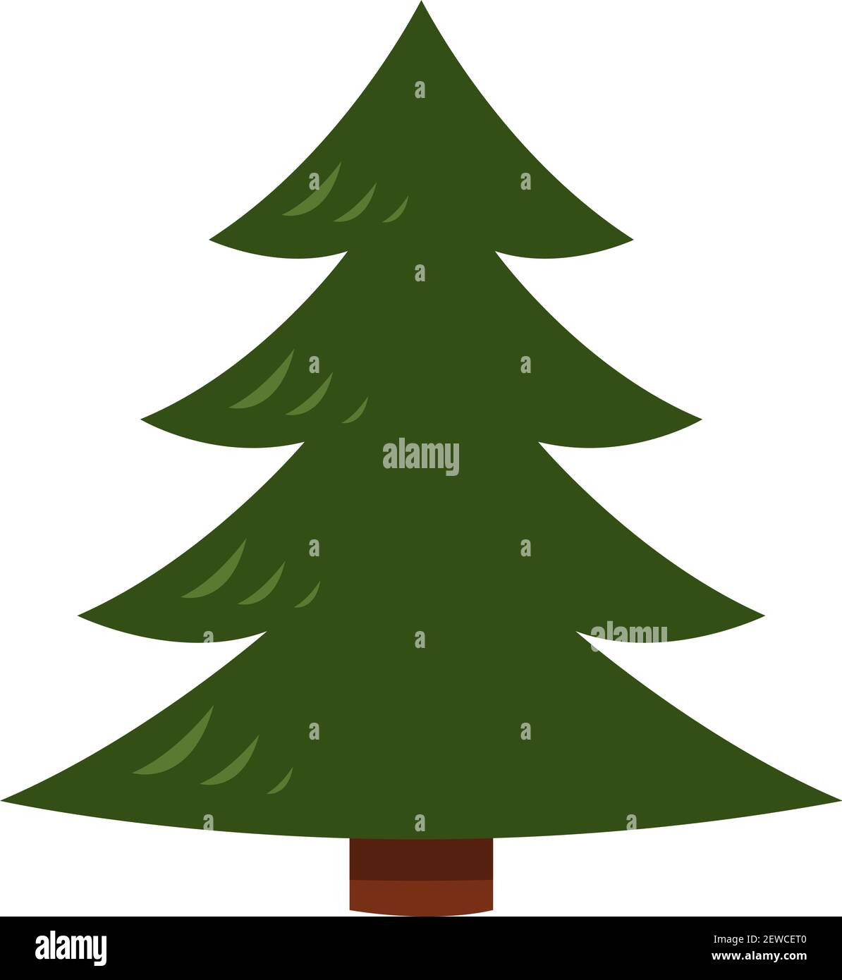 Evergreen tree in summer, illustration, vector on white background ...