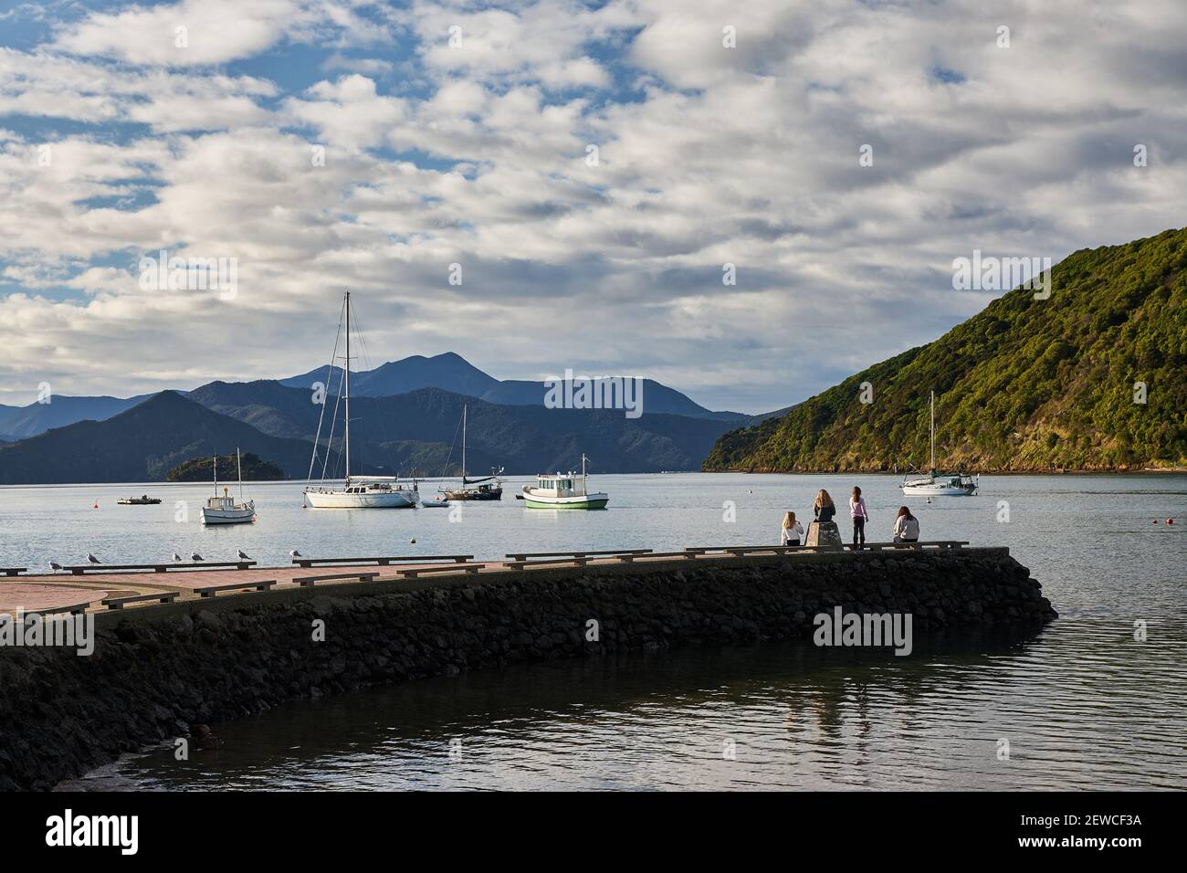 Picton Harbour in the Marlborough Sounds in New Zealand's South Island ...