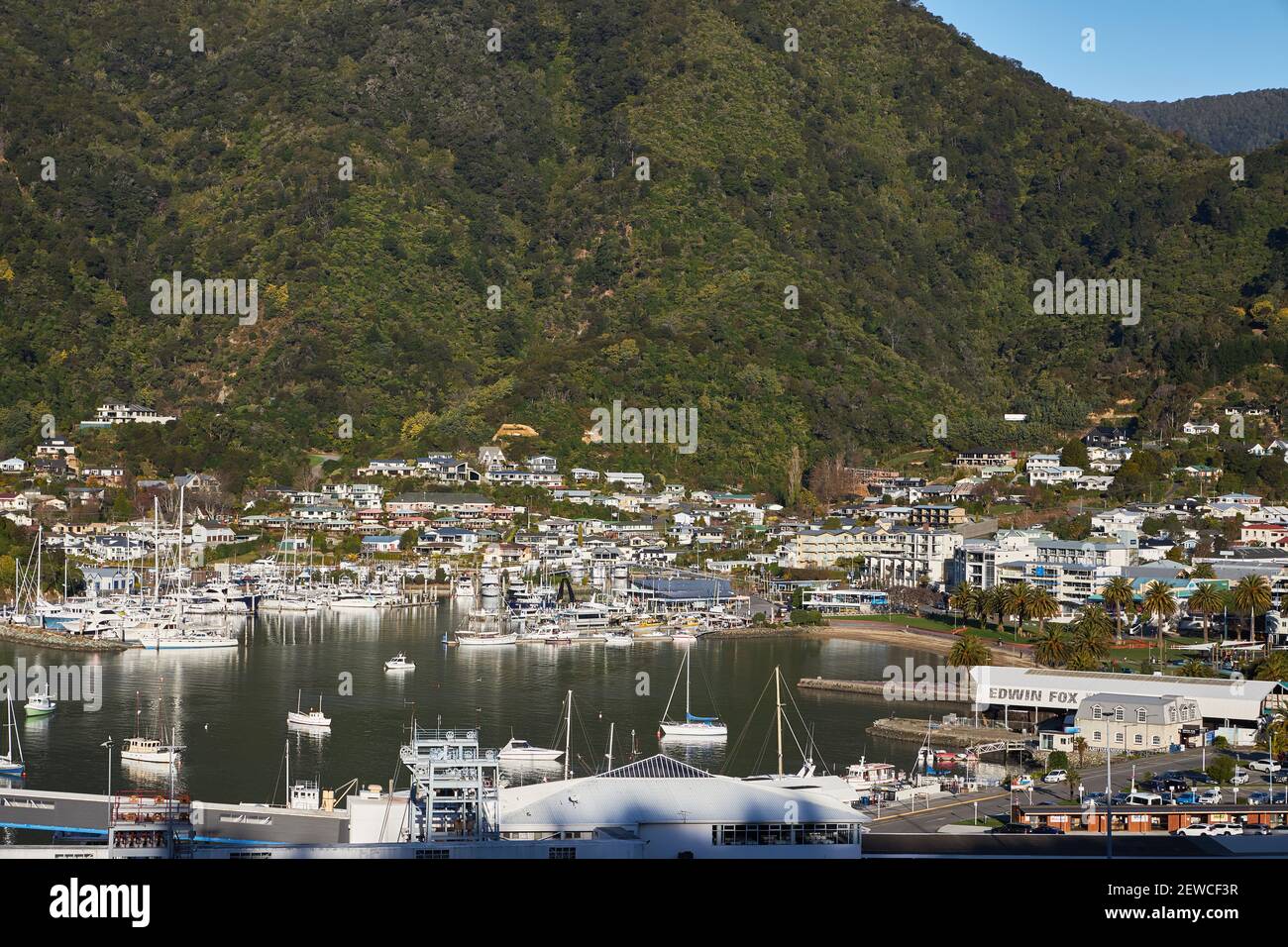 Picton Harbour in the Marlborough Sounds in New Zealand's South Island ...
