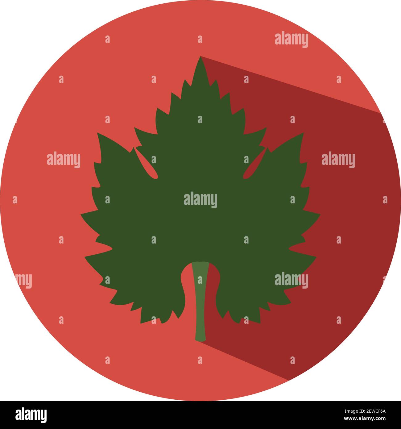 Wine leaf, illustration, vector on white background Stock Vector Image ...