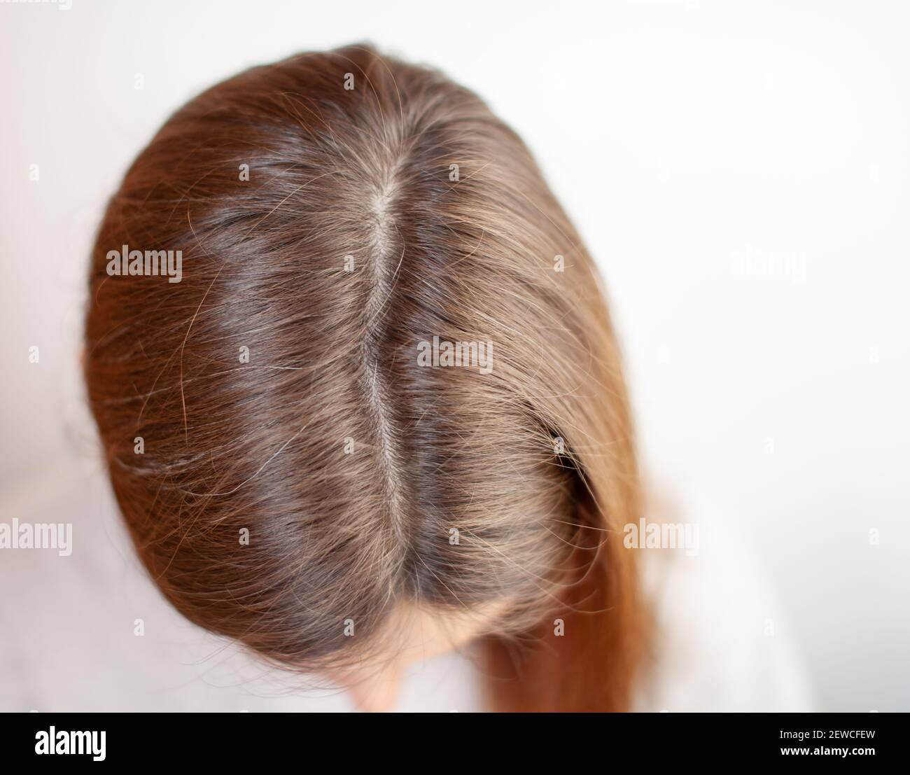 A woman's head with a parting of gray hair that has grown roots due to ...