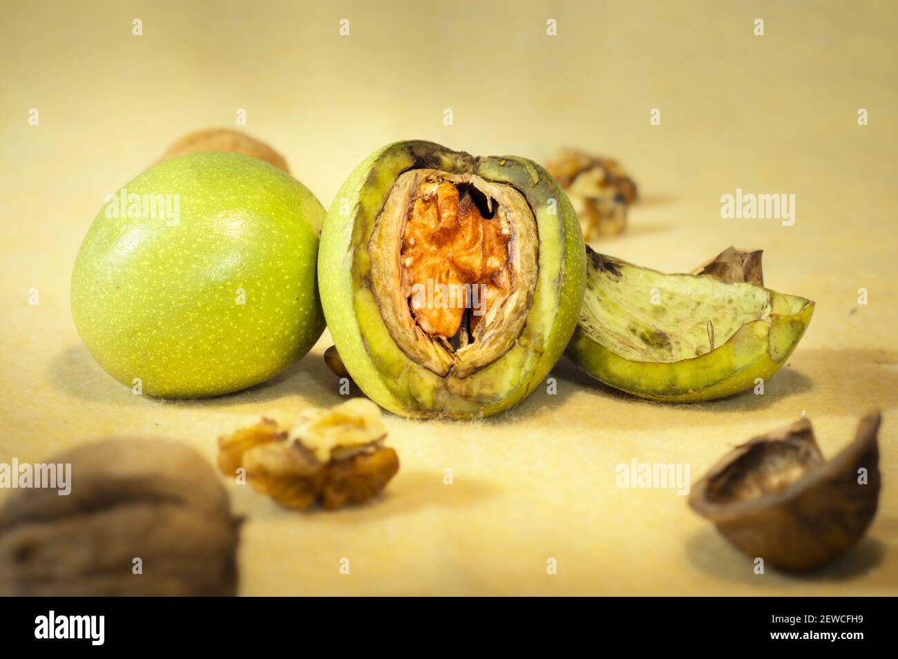 Walnut closed yet unripe inside the fruit with a yellow background ...