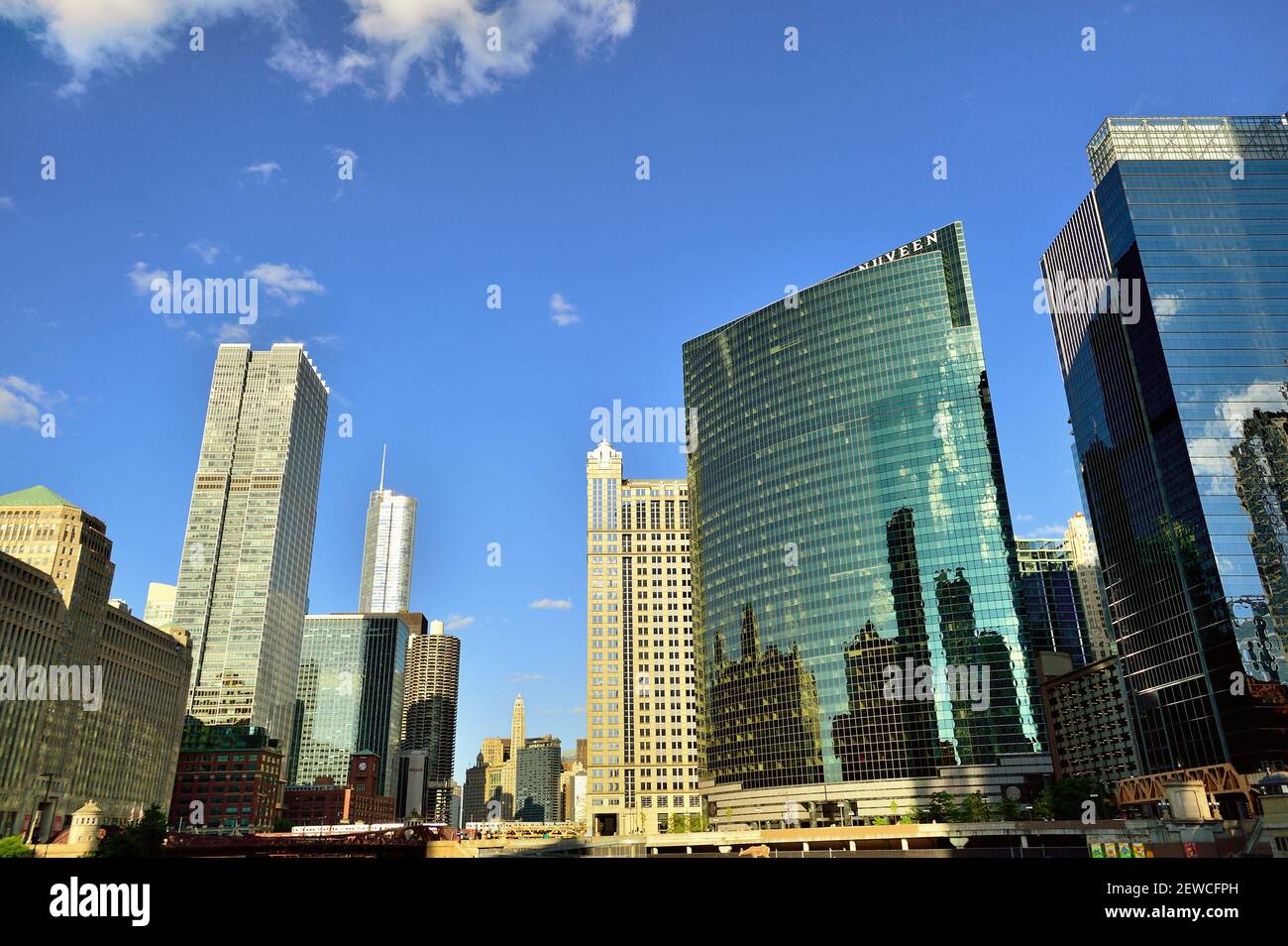 Looking east from a point where the Chicago River widens to form a 'Y ...