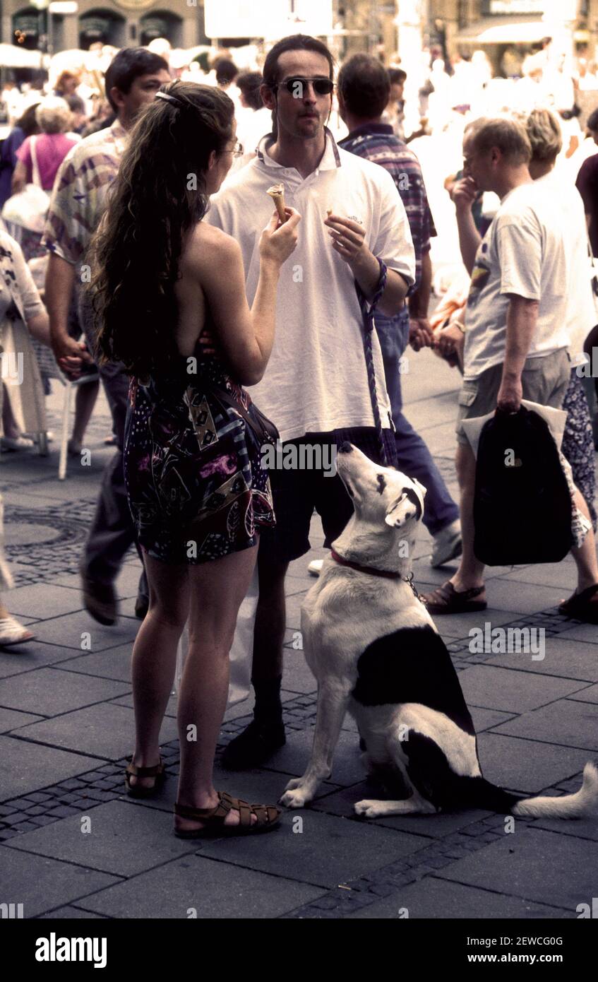 Scene with dog hi-res stock photography and images - Alamy