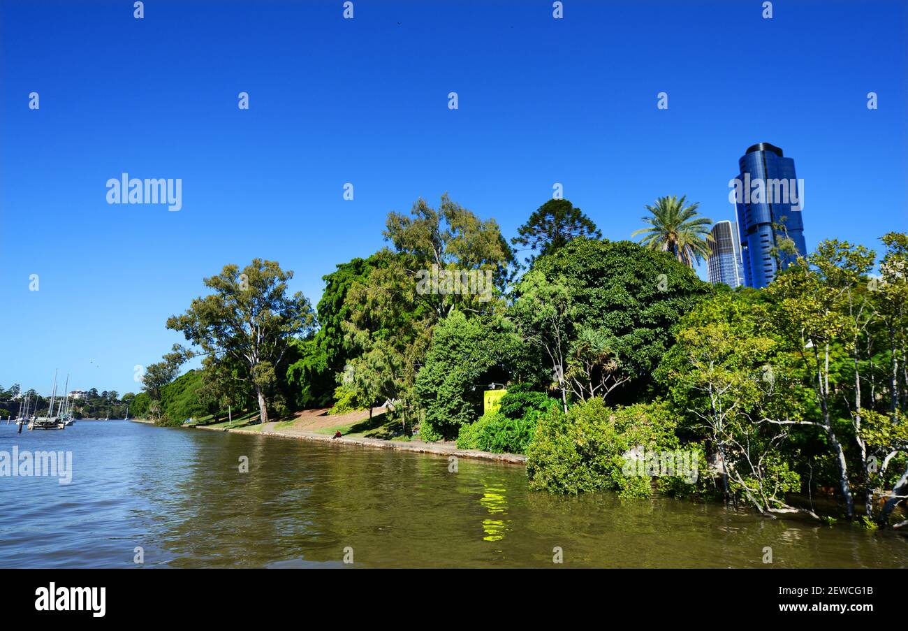 Brisbane city Botanic gardens Stock Photo - Alamy