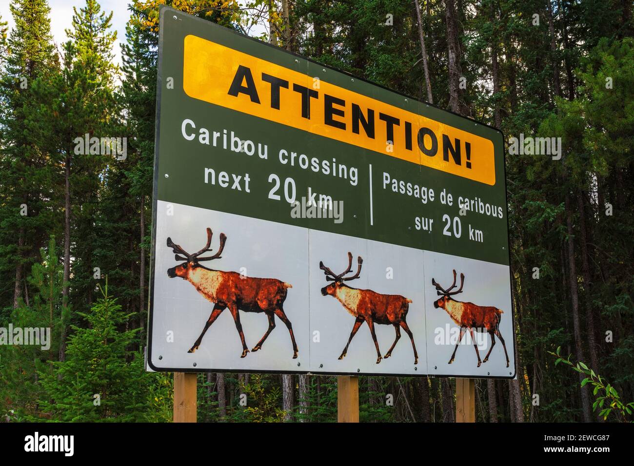 Caribou crossing sign, Jasper National Park, Alberta Canada Stock Photo ...