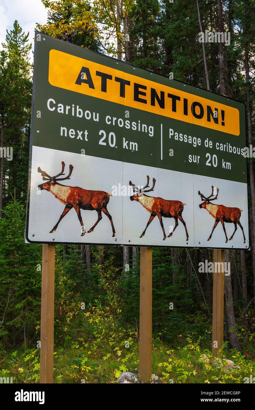 Caribou crossing sign, Jasper National Park, Alberta Canada Stock Photo ...
