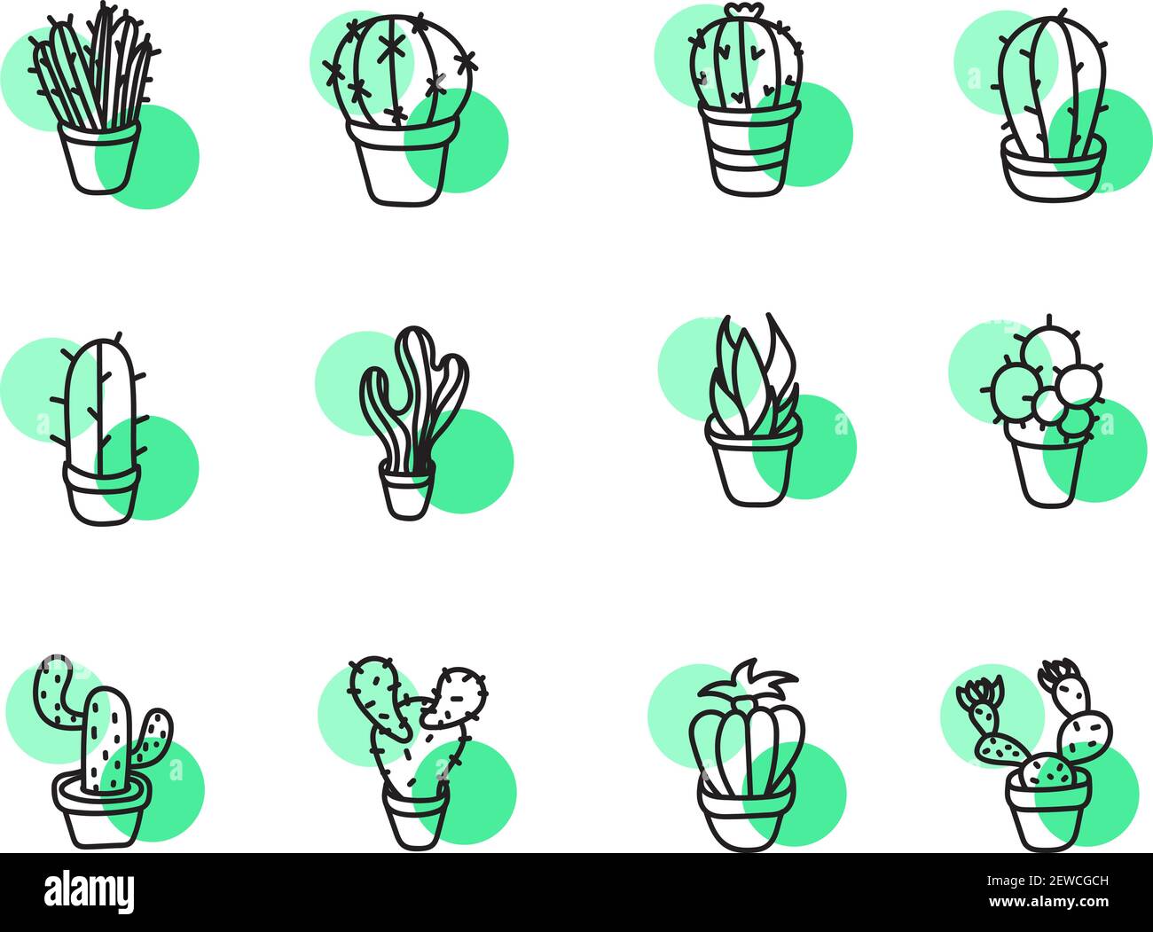 Indoor home plants on Stock Vector Images - Alamy