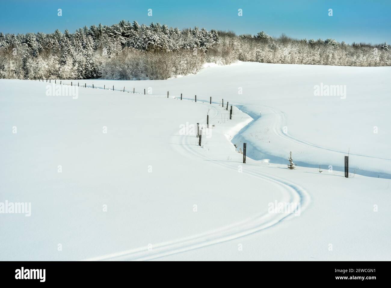 Quebec winter landscape with a winding and rustic wooden fence in the ...