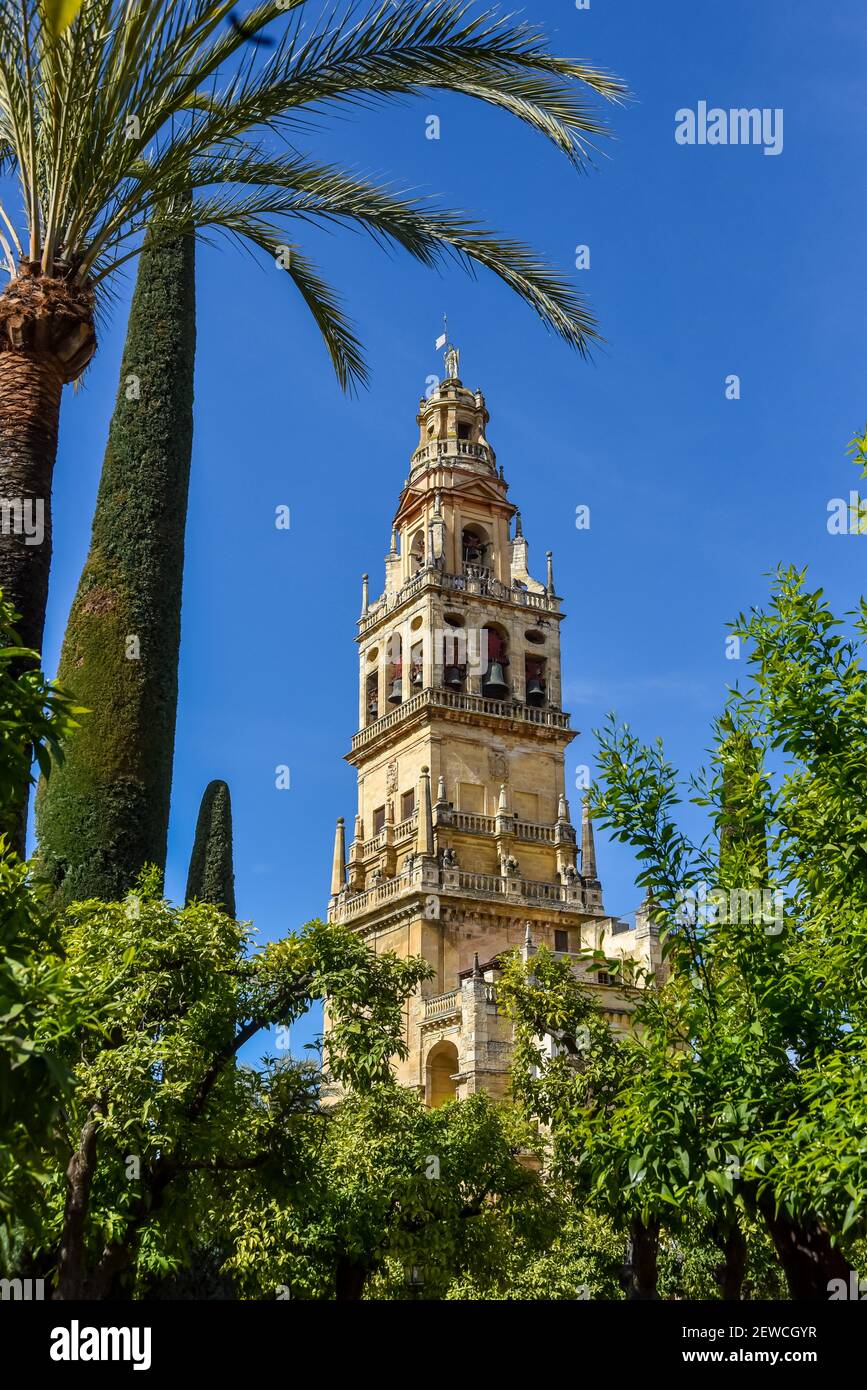 Tower with bell Cordoba, Andalusia, Spain Stock Photo - Alamy