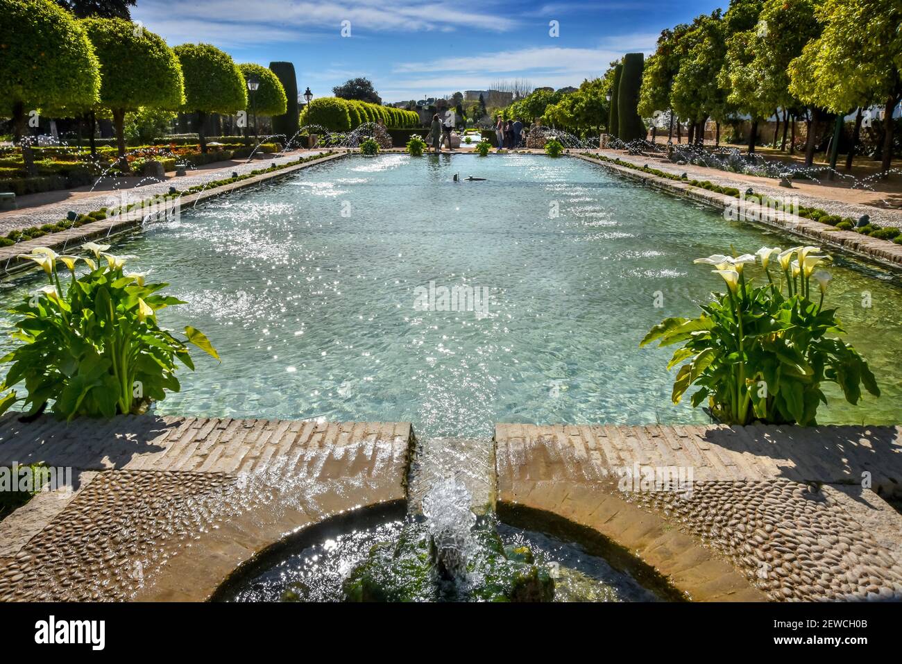 Water basin in the Alcazar gardens in Cordoba, Spain Stock Photo - Alamy