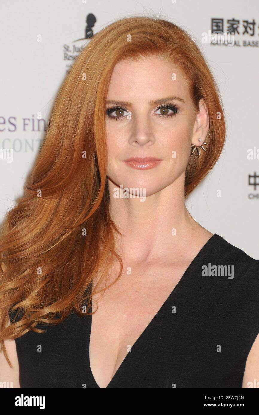 27 January 2016 - Los Angeles, California - Sarah Rafferty. The LA Art ...