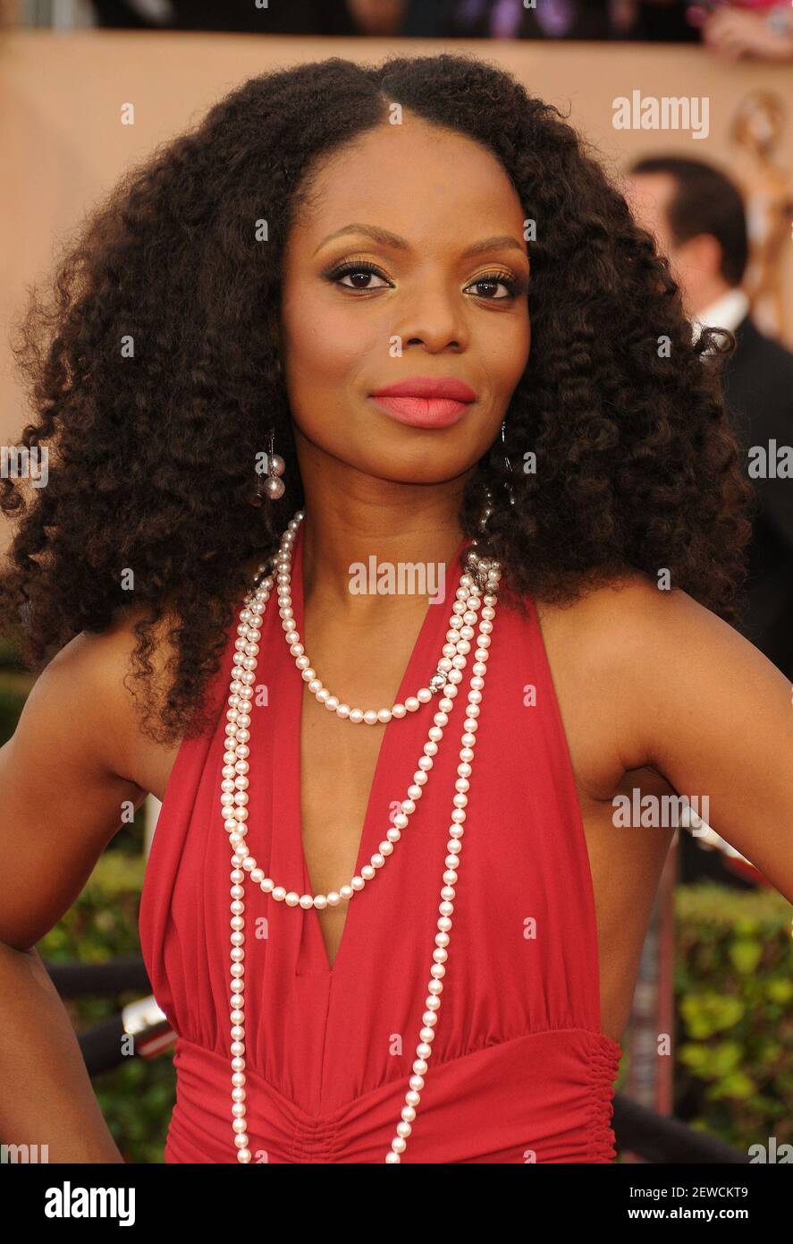 Marsha Stephanie Blake attending the 22nd Annual Screen Actors Guild ...