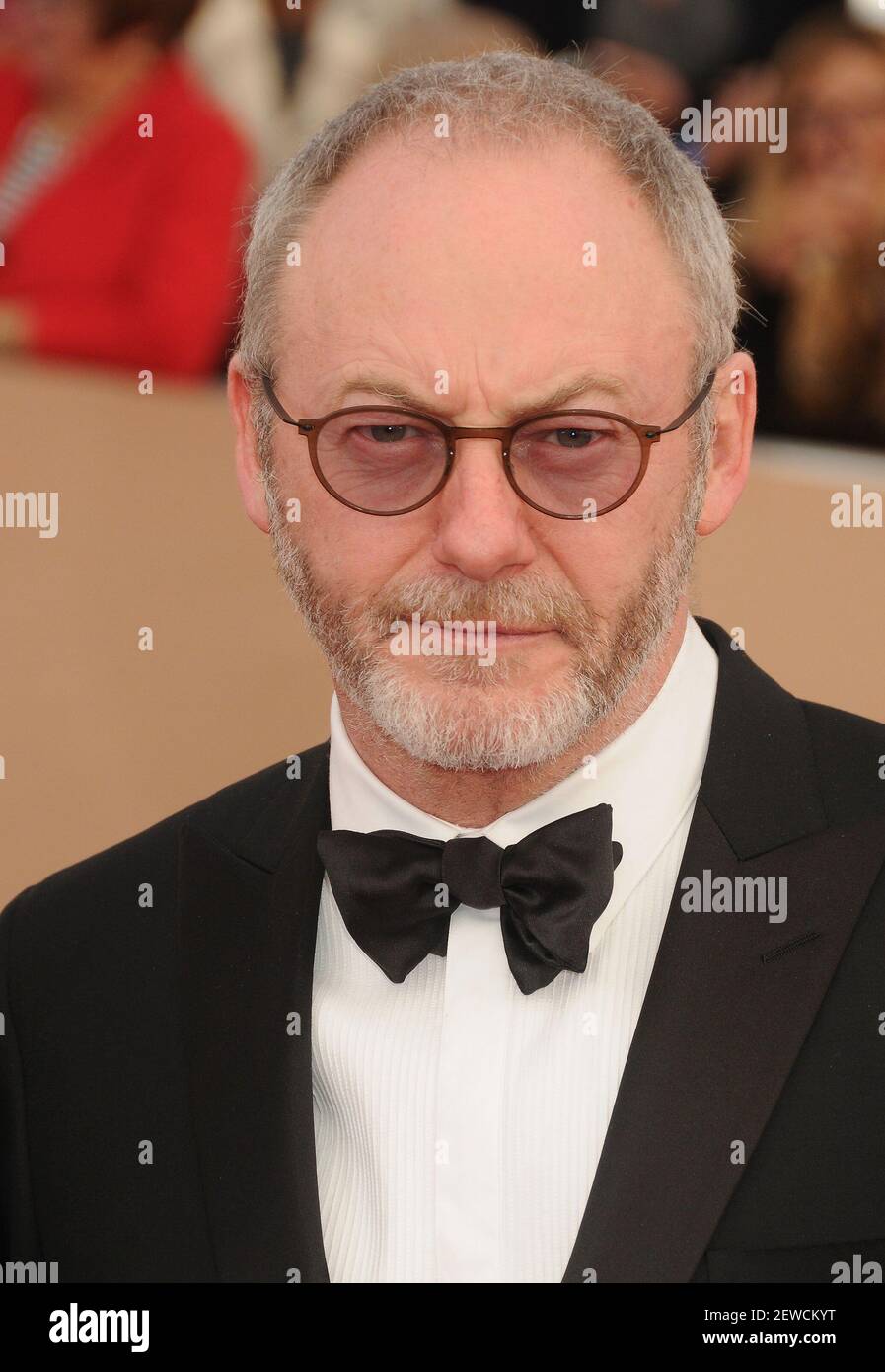 30 January 2016 - Los Angeles, California - Liam Cunningham. 22nd ...