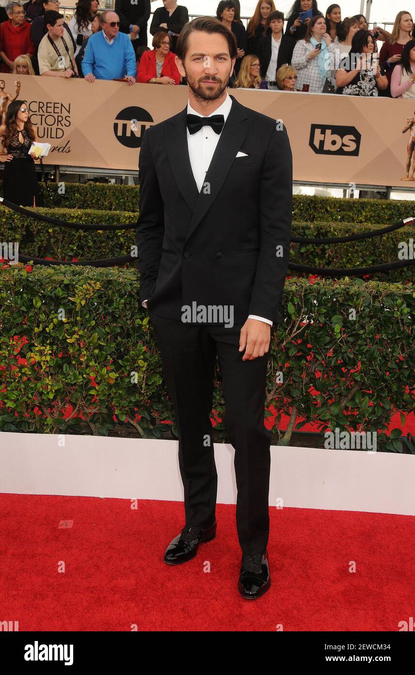 30 January 2016 - Los Angeles, California - Michiel Huisman. 22nd ...