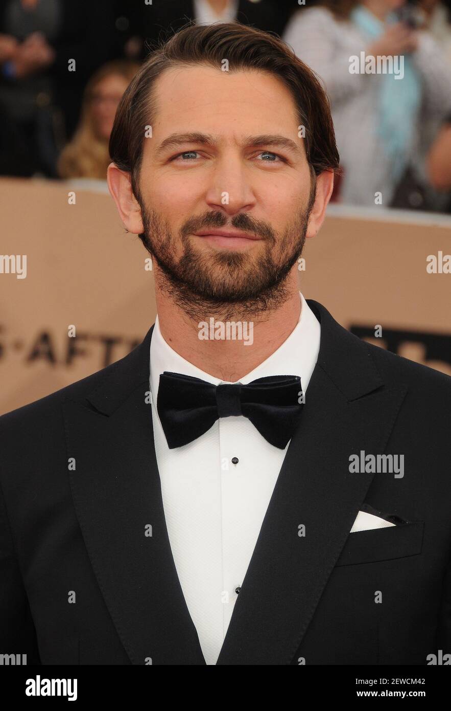 30 January 2016 - Los Angeles, California - Michiel Huisman. 22nd ...