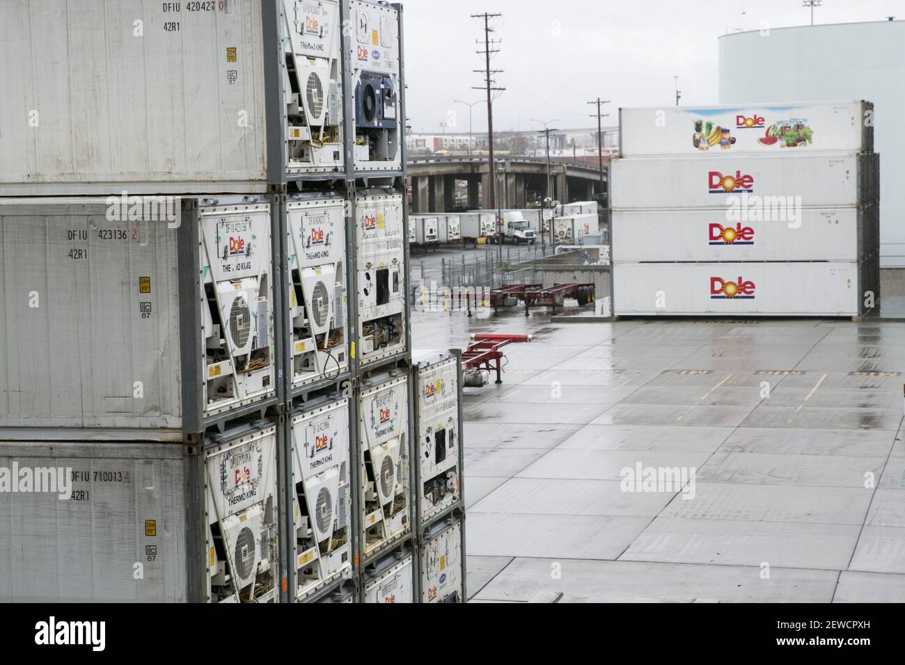 Shipping containers with the Dole Food Company, Inc., logo at a ...