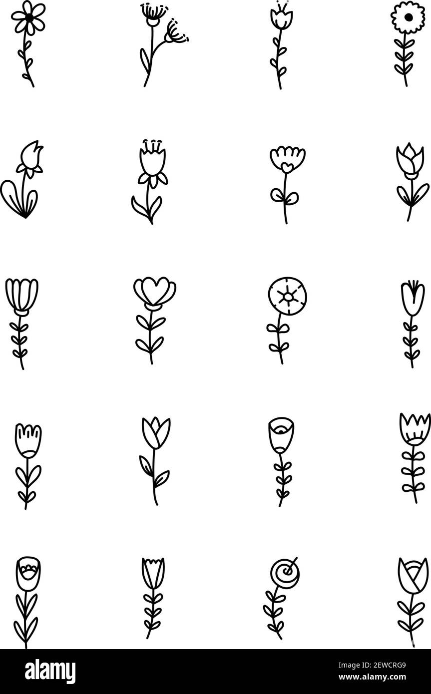 Botany flowers, illustration, vector on white background Stock Vector ...