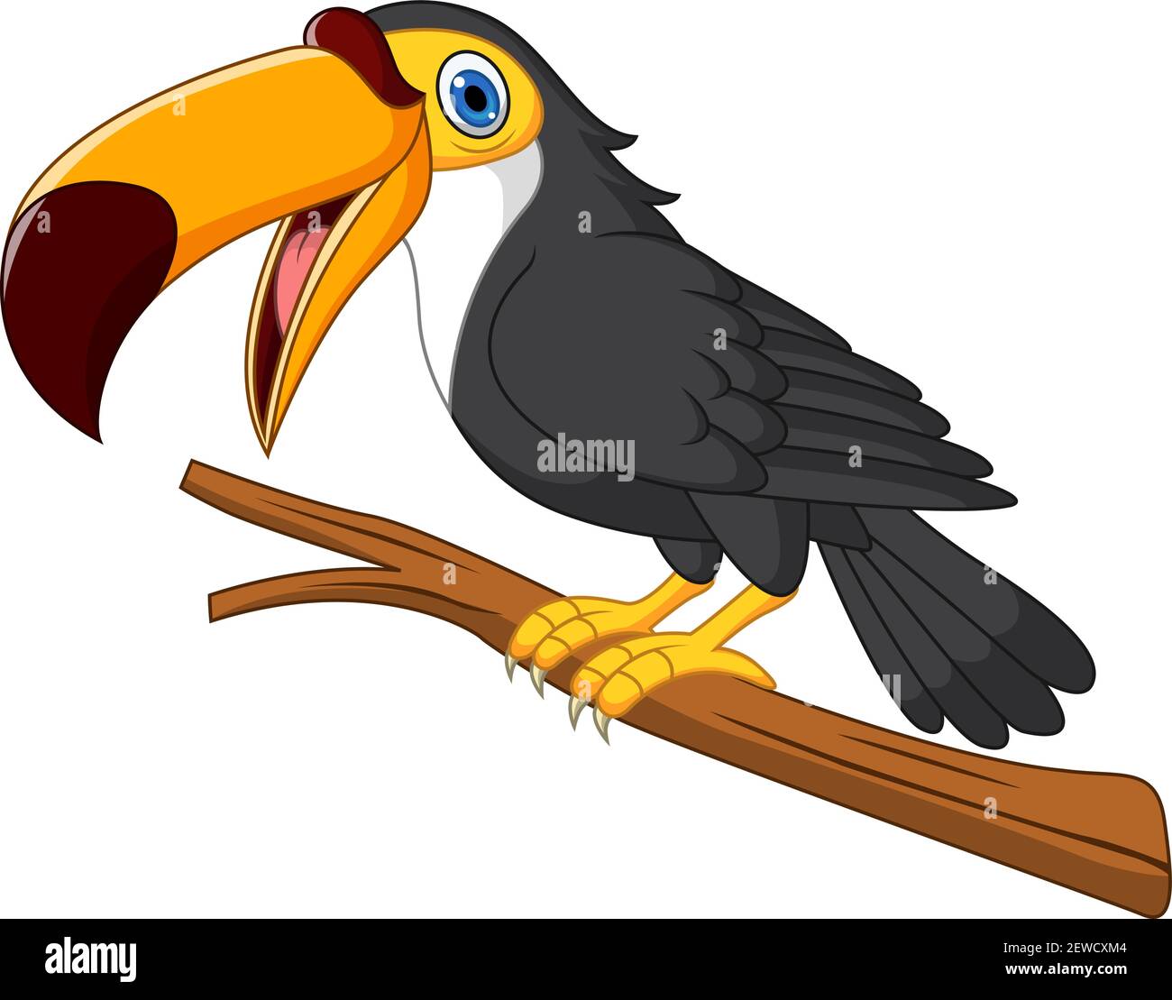 Cartoon Toucan