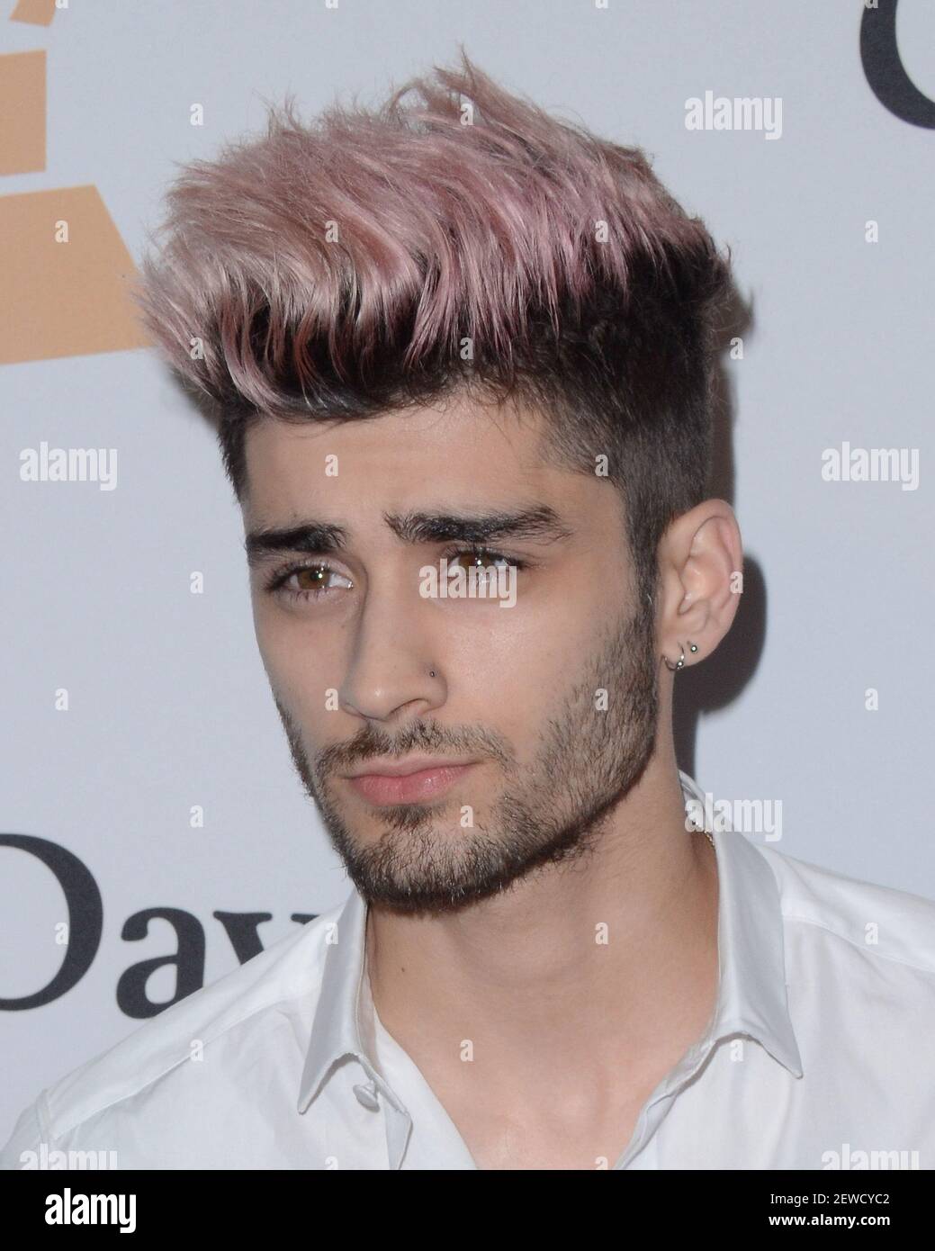 Zayn Malik Icon