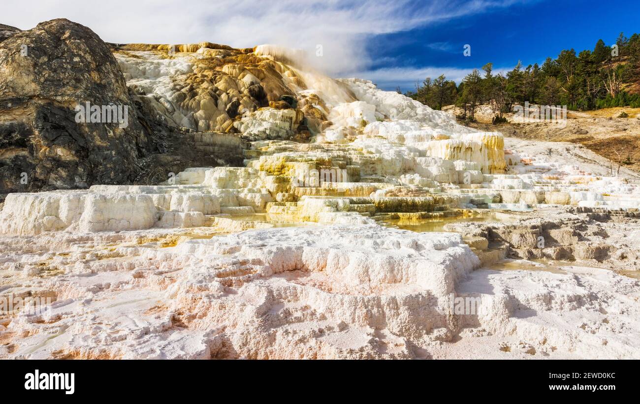 Travertine terraces at Minerva Spring, Mammoth Hot Springs, Yellowstone National Park, Wyoming ...