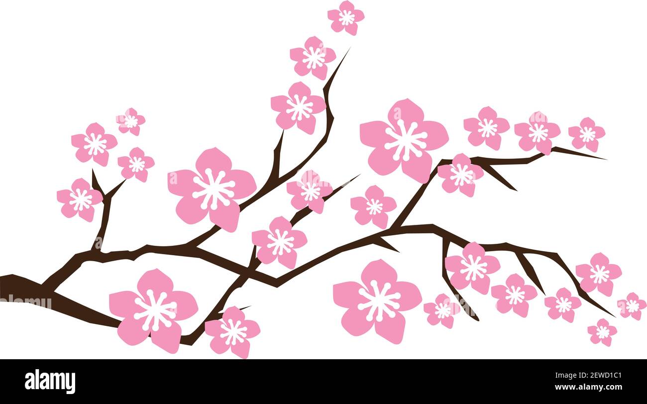 Cherry Blossom Branch Pattern