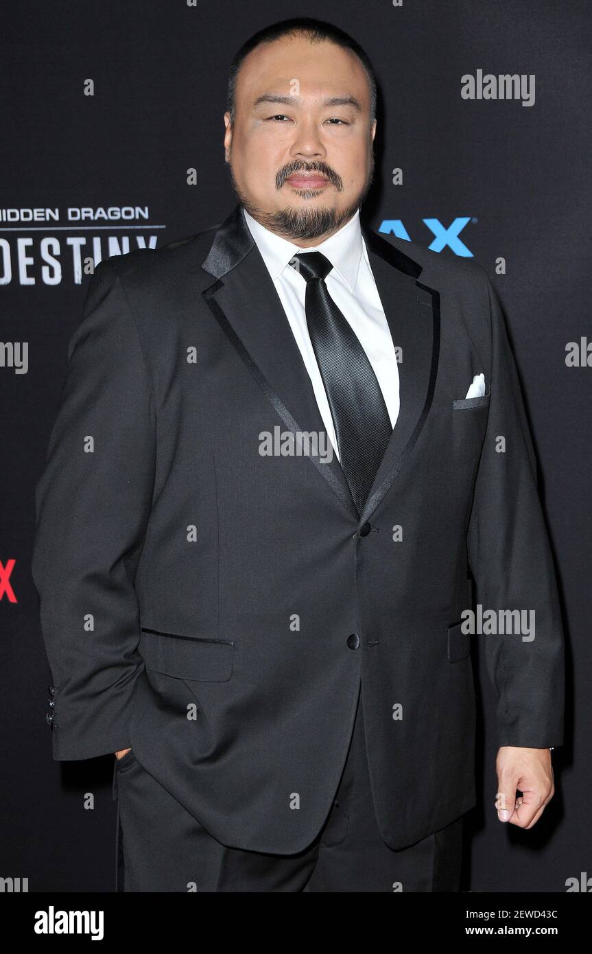 Darryl Quon arrives at the "Crouching Tiger, Hidden Dragon: Sword Of ...