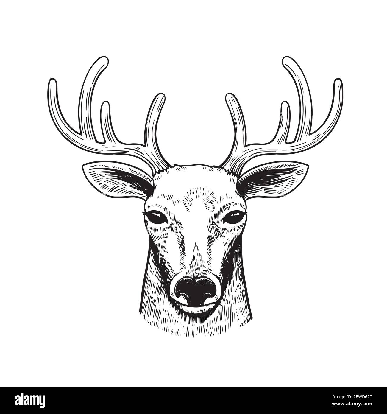 Front view portrait hand Stock Vector Images - Alamy