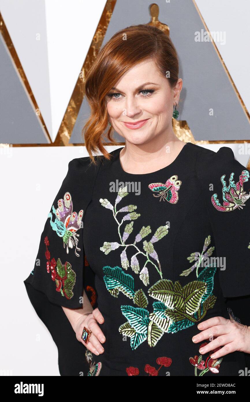 Amy Poehler arriving at the 88th Academy Awards Ceremony held at the ...