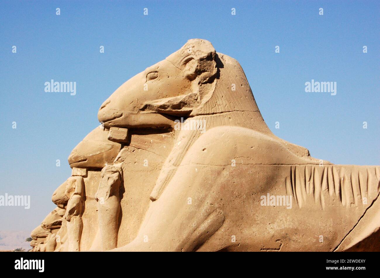 A row of ancient egyptian sphinxes with rams' heads. Temple of Karnak ...