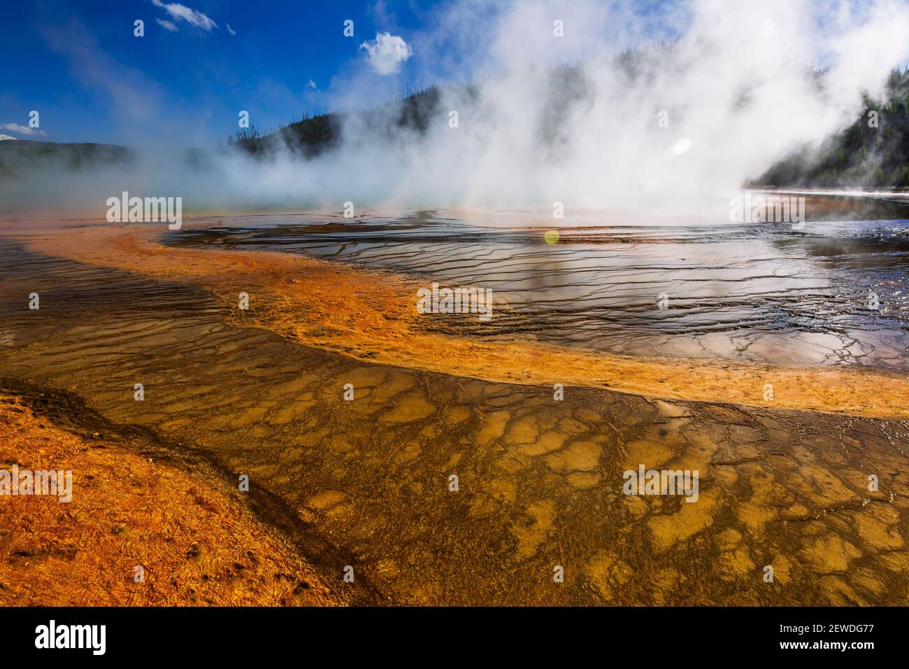 Steam rising off Grand Prismatic Spring, Yellowstone National Park ...