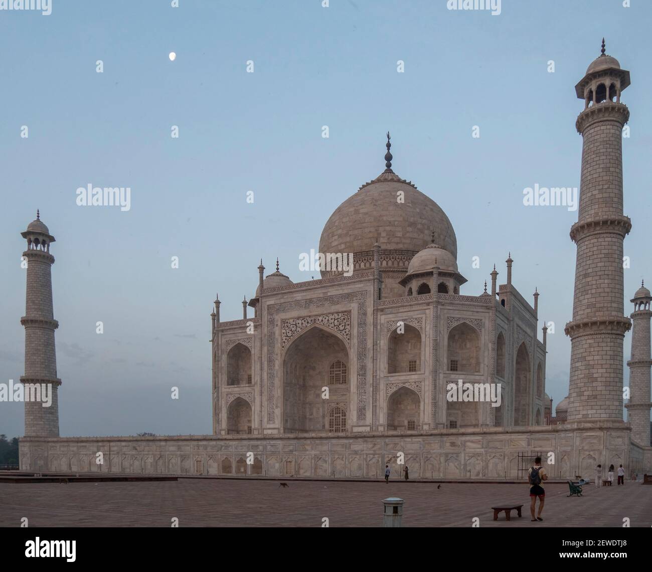 Taj mahal view of the taj mahal at dawn hi-res stock photography and ...