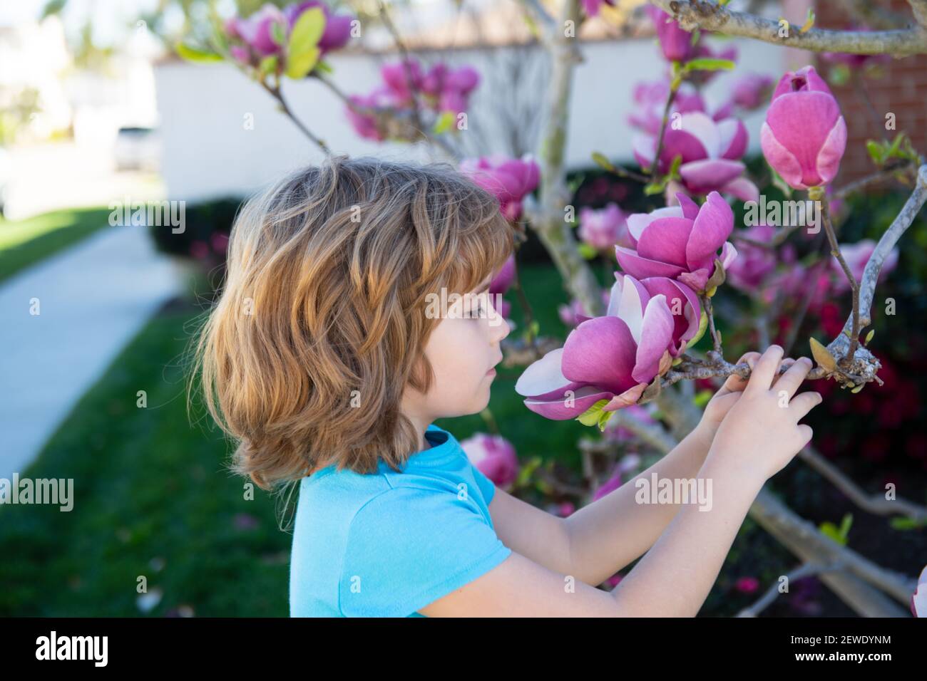 Cute child in blossom magnolia garden. Happy boy at park. Discovering ...
