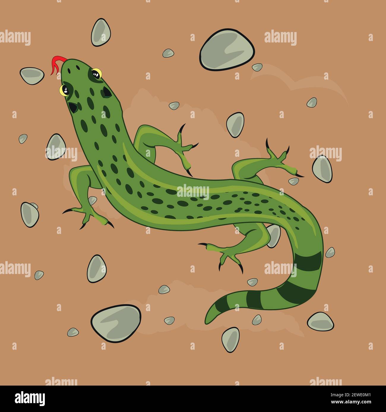 Vector illustration grovelling animal to reptiles lizard in desert ...