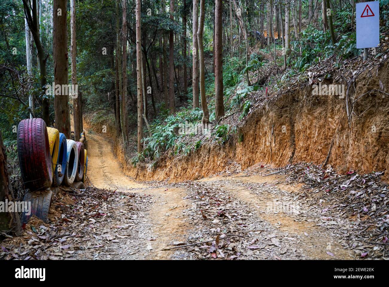 Off-road karting track, mountain and dirt road forest track Stock Photo ...