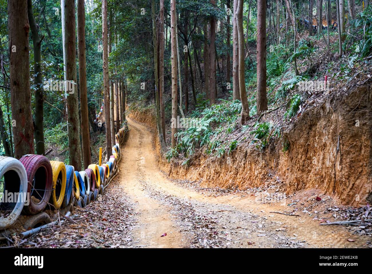 Off-road karting track, mountain and dirt road forest track Stock Photo ...