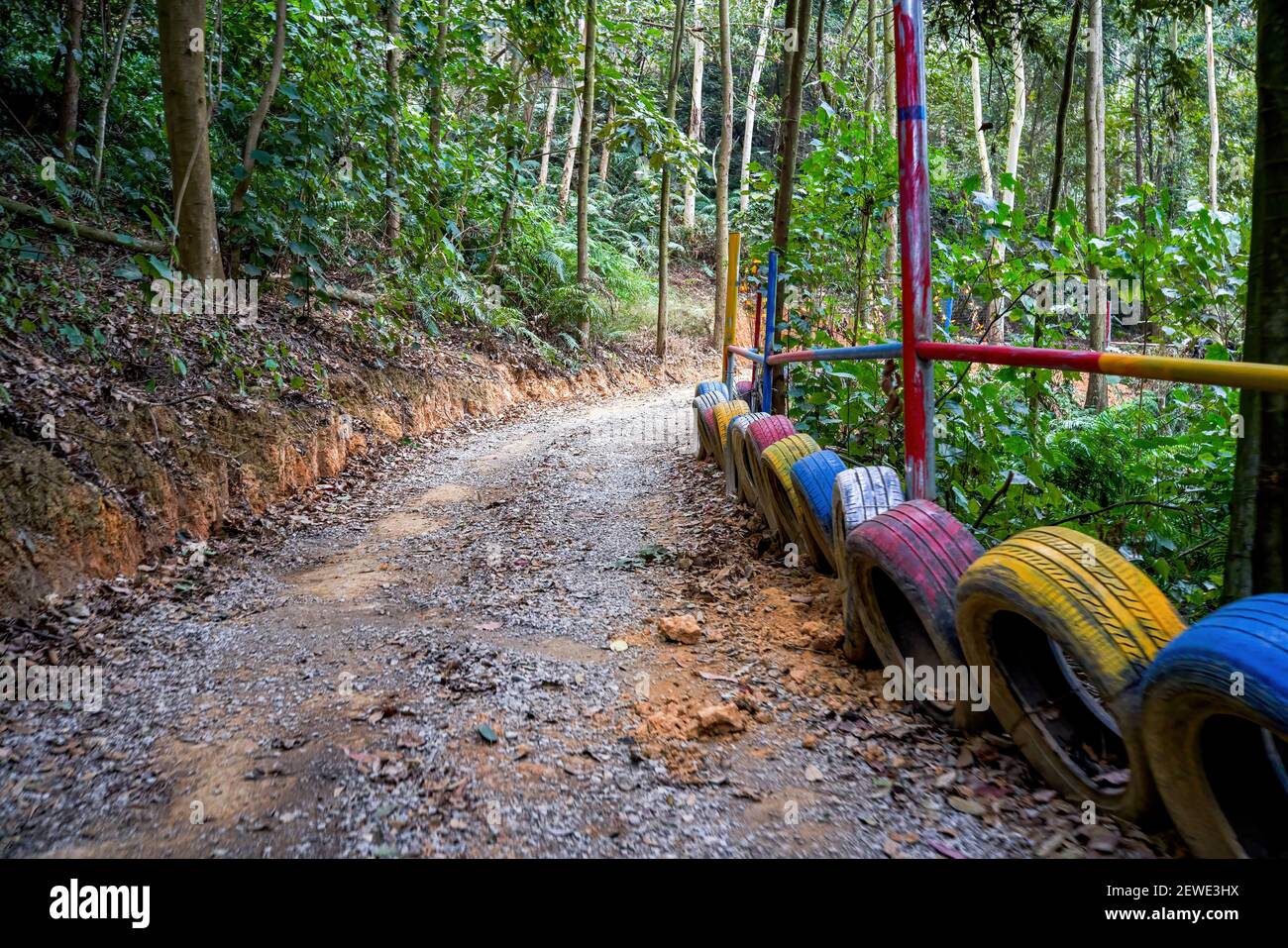Off-road karting track, mountain and dirt road forest track Stock Photo ...