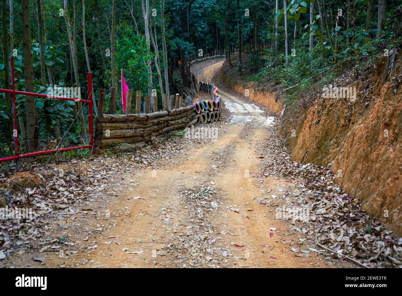 Off-road karting track, mountain and dirt road forest track Stock Photo ...