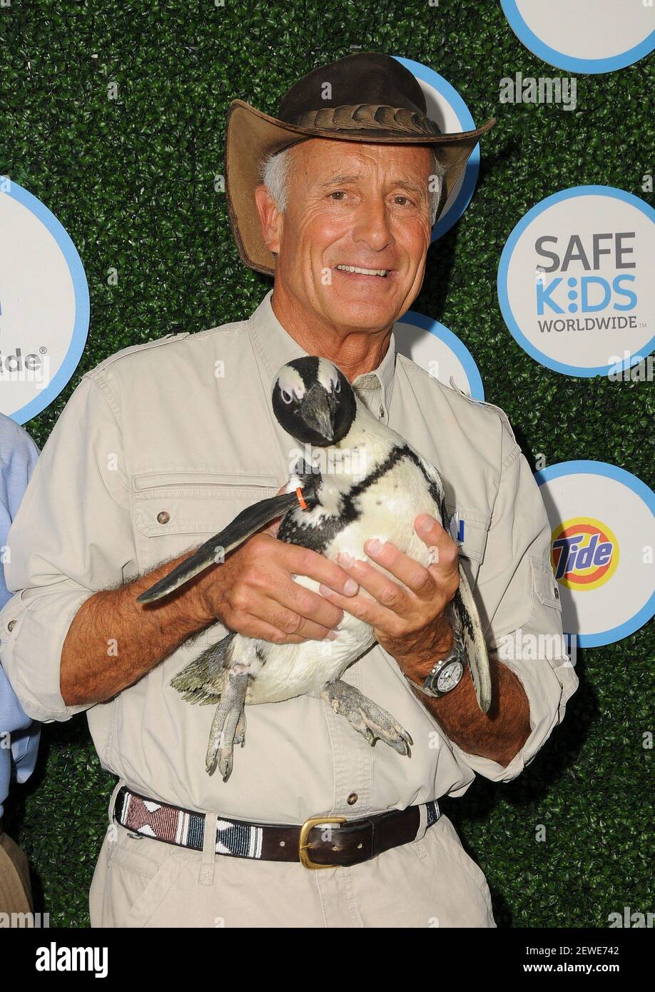 Jack Hannah. Arrivals for Safe Kids Day held at Smashbox Studios Stock ...