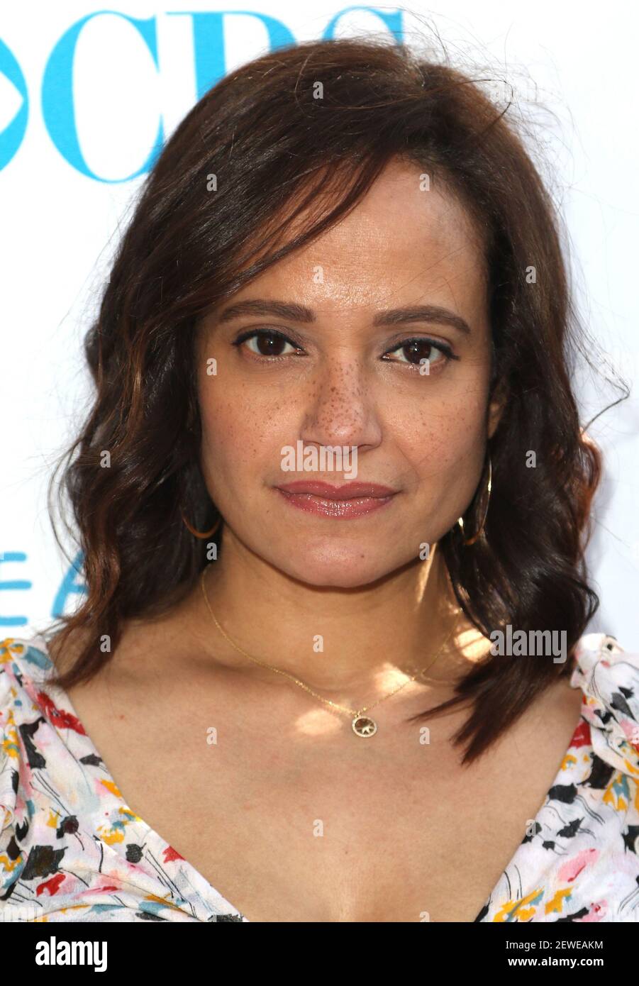 Judy Reyes at The 4th Annual RaiseAChild Honors Gala held at The Jim ...