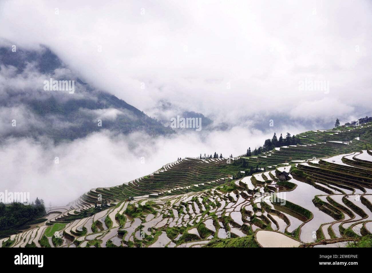 (160513) -- CONGJIANG, May 13, 2016 (Xinhua) -- Photo taken on May 13 ...